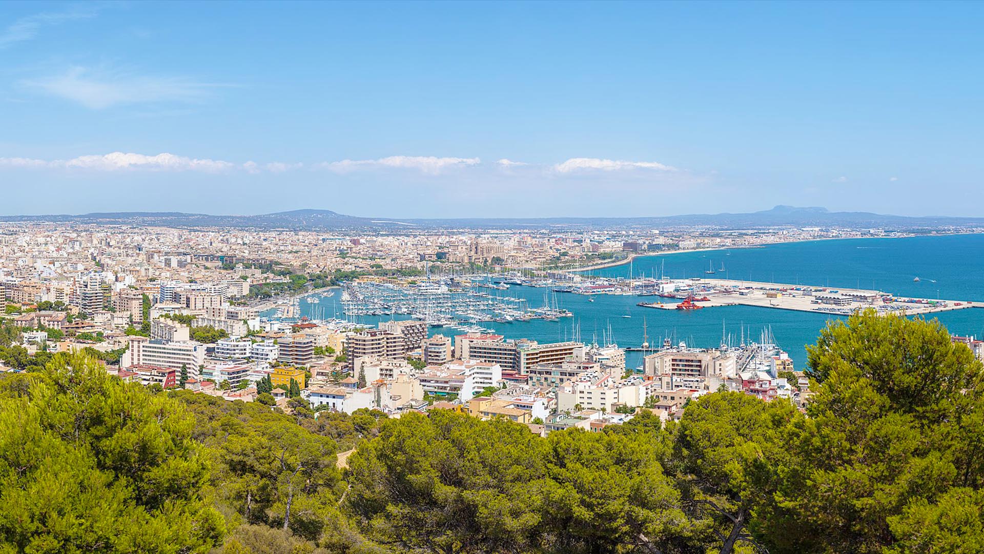 The Real Estate Market in Mallorca 20206: Between Strong Demand and ...
